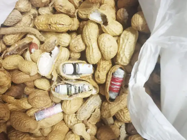 Cracking peanuts - Shocking! Rs 45 lakh hidden in peanuts, meatballs ...