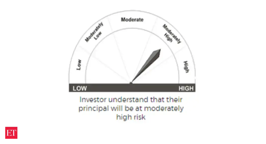 Slideshow - Riskometer | The Economic Times