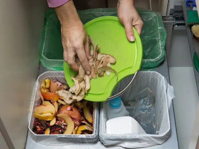 Waste Segregation - Grow Herbs, Make Compost Of Kitchen Waste & Stock ...