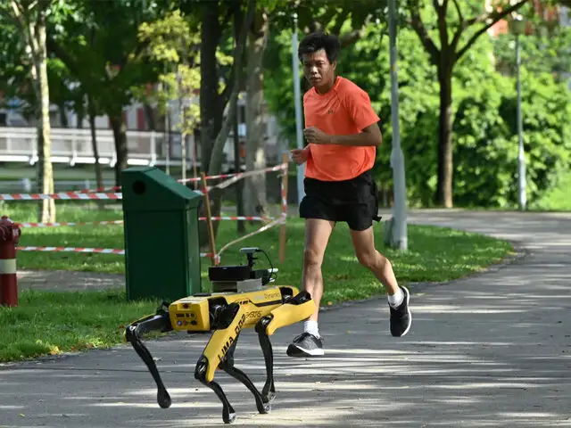 Constant vigil - Robot dog on virus park patrol in Singapore | The ...