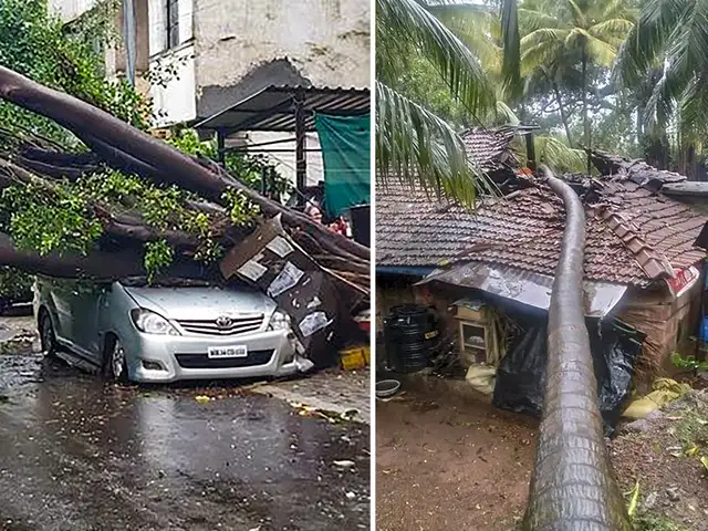 Cyclone Nisarga aftermath - Nisarga: The devastation from a rare ...