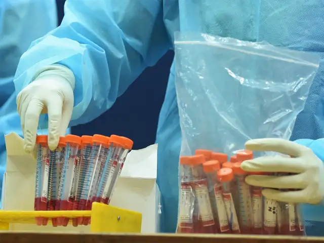 RT-PCR tests - Everything you need to know about isolating at your ...