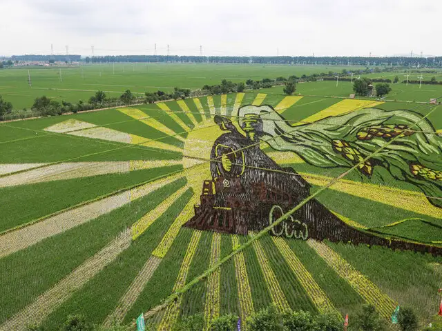 In China, farmers create an art in rice paddy fields - Mr. Bean | The ...