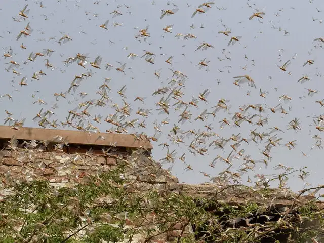 World now has to deal with extreme weather conditions on top of the ...
