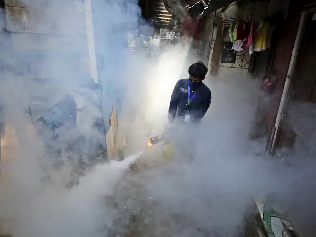 Countries fight twin battles against dengue, COVID-19 - Breakbone fever ...