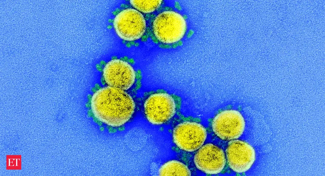 Long-term immunity - High levels of just one type of molecule seen in ...
