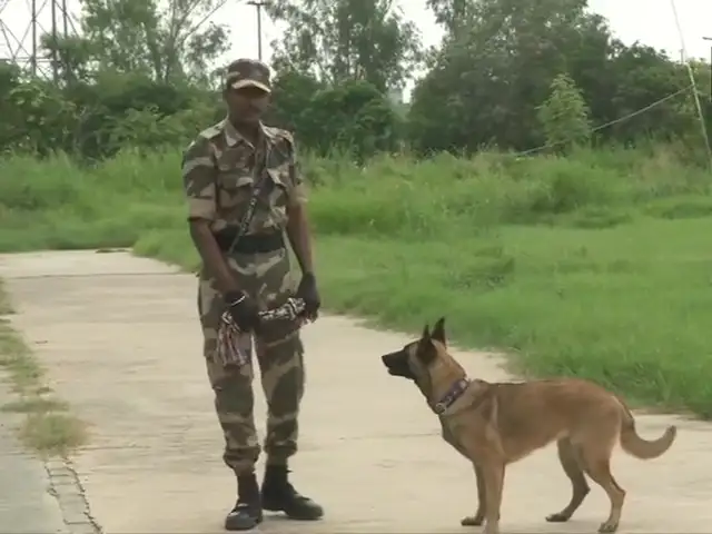 Dog squad - CISF's canine squad has a new special member, Polo | The ...