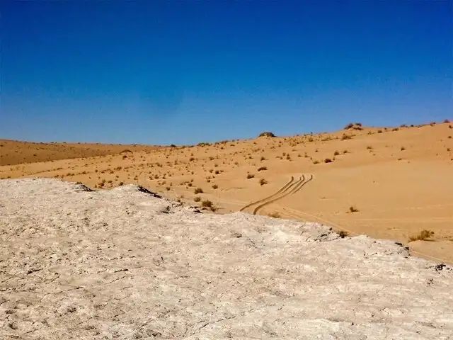 Last interglacial - Discovery of ancient human and animal footprints in ...