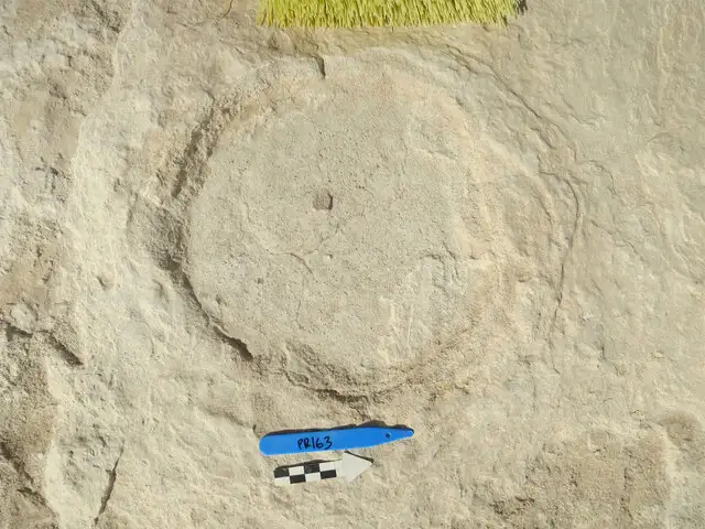 Last interglacial - Discovery of ancient human and animal footprints in ...