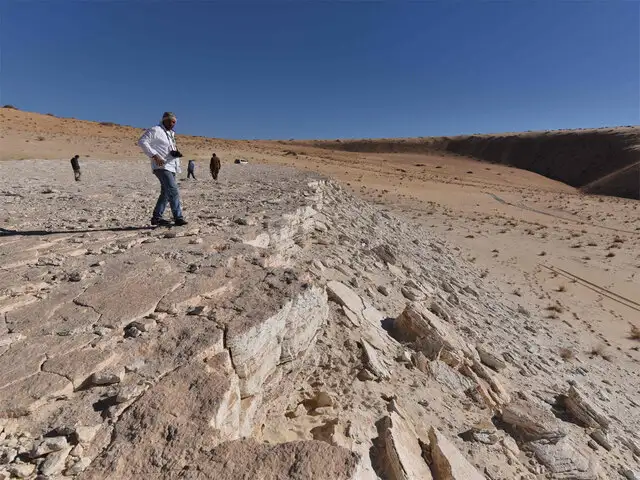 Last interglacial - Discovery of ancient human and animal footprints in ...