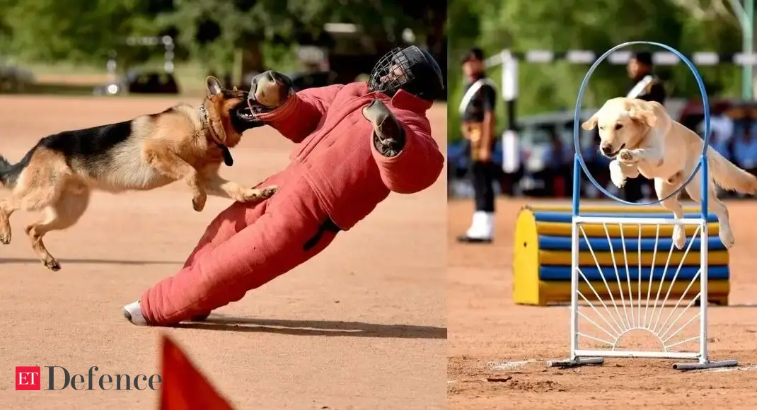 Anti-militancy operations - How dogs aid in anti-militancy operations ...