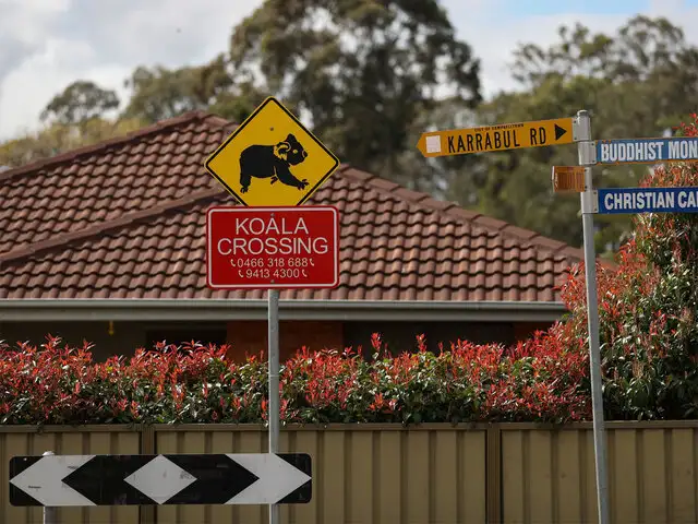 Laws in place - From disease to bushfires, Australia's iconic koalas ...