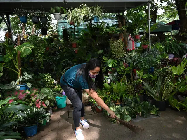 Plant theft - Trending now! Plantdemic in the times of pandemic | The ...