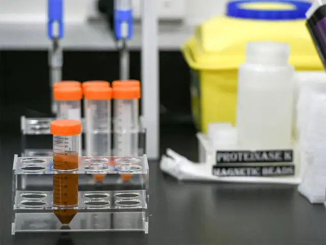 Animal testing going on - US scientists developing nasal spray to ...