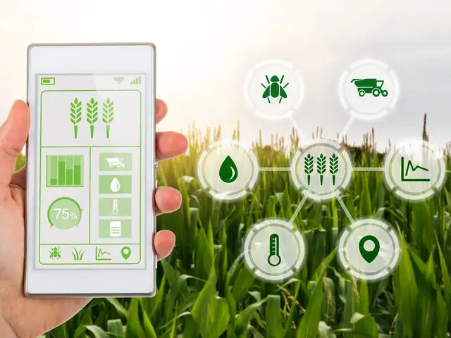 The right quality - How the agritech sector is helping farmers | The ...