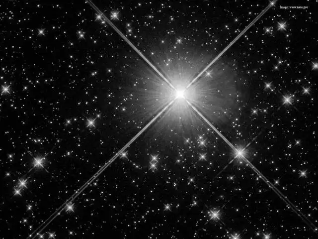 Shining collection of stars - The world celebrates 30 years of the ...