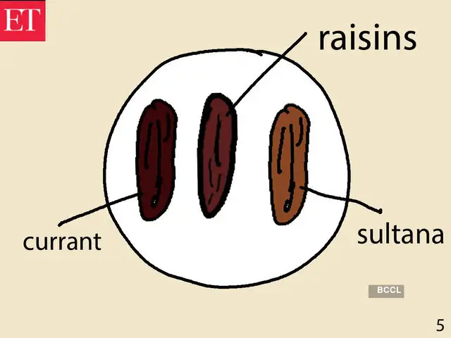 How are Sultanas made? - Few Christmas cakes around the world | The ...