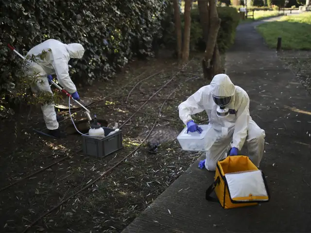 More work needed - New virus variants could undo the effectiveness of ...