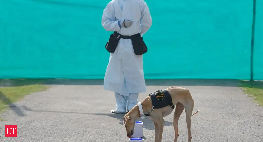 Where are they deployed? - Pioneering paws: Indian Army using dogs to ...