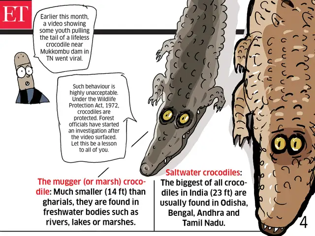 Types of Gharials - Croc Ahoy: Almost 50 years after gharials are back ...