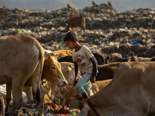 A dangerous work - A day in the life of an Indian child scavenger | The ...