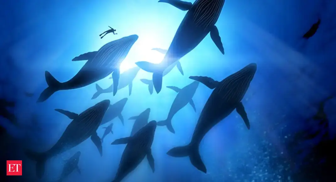 Forms of genetic variation - Scientists may have found the cure for ...