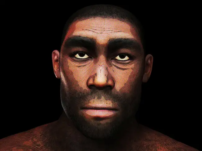 Since there’s a bit of Neanderthal in us all - The Economic Times