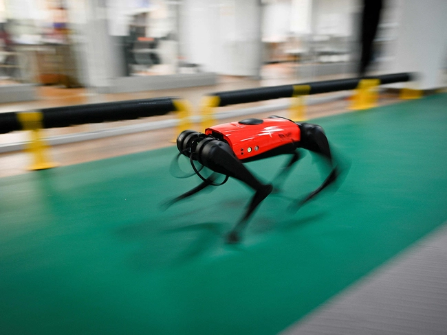 This robo-dog follows commands, goes on walks and doesn't leave ...