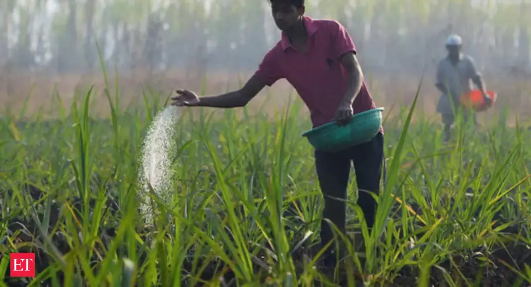 Govt Hikes Subsidy On DAP Fertiliser By 140 Farmers To Get DAP At Old 