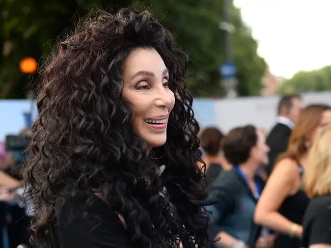 Iconic singer Cher is getting a biopic - The Economic Times