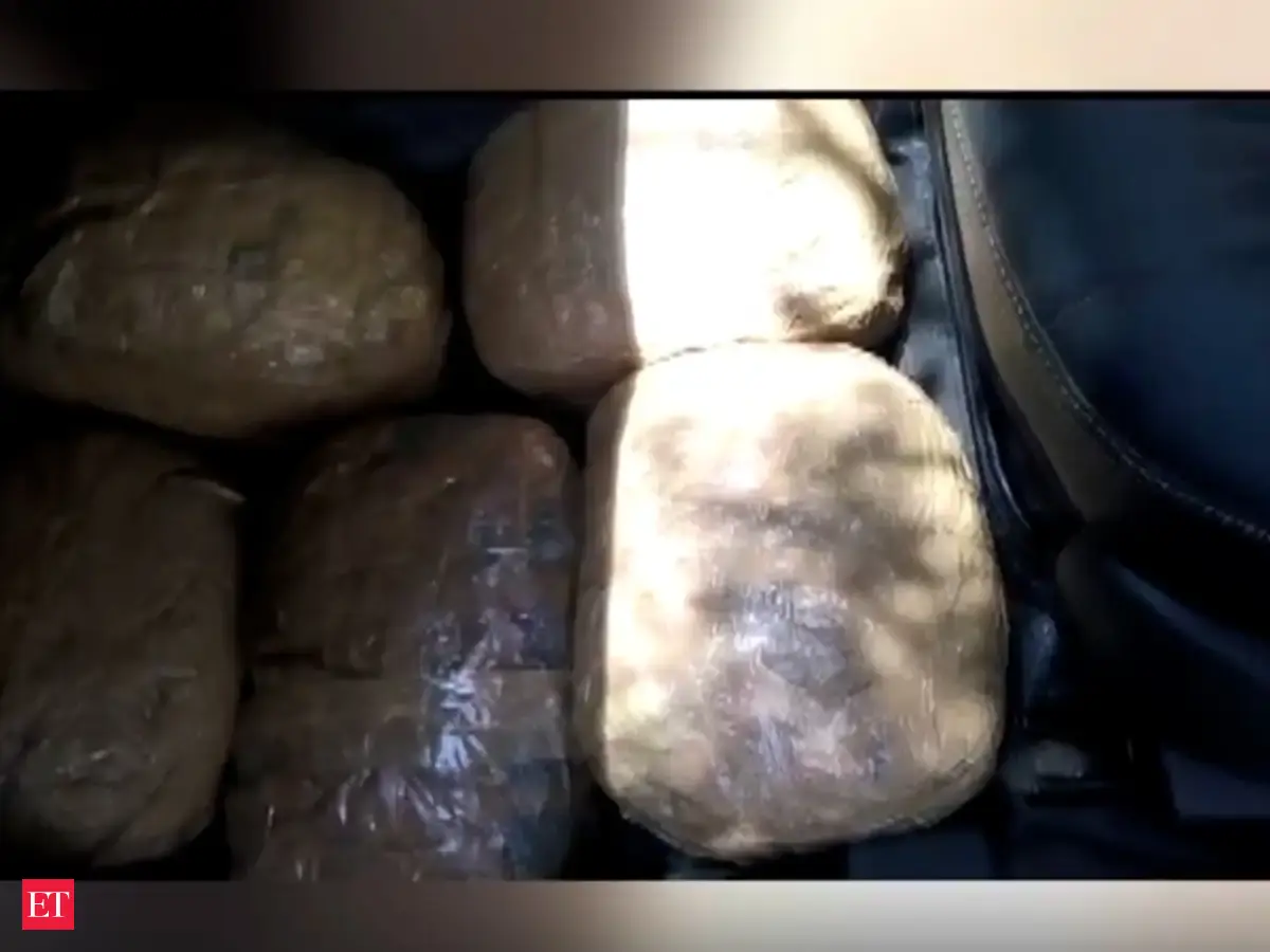 Maharashtra: NCB arrests wanted drug dealer, recovers 12 kg marijuana ...