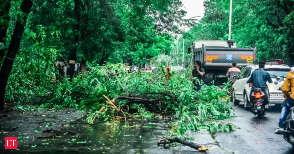 Monsoon in Maharashtra affects local trains, road traffic and low-lying ...