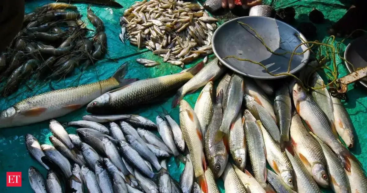 Assam is increasing production of indigenous and exotic ornamental fish ...
