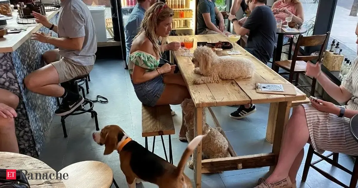 Cheers to that! A bar in London is serving up drinks to its customers ...