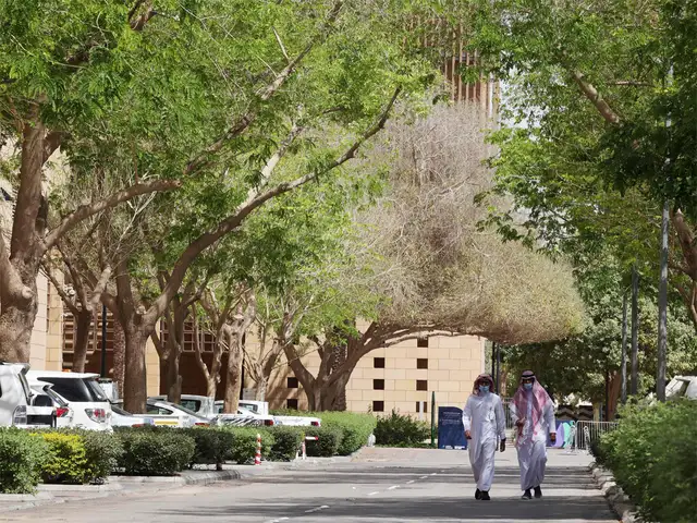 Reforestation in Riyadh - From grey to green: World cities uprooting ...