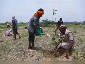 green india mission: How far has Green India Mission succeeded? A ...