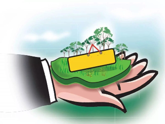 laws against land grabbing: How to protect yourself against land grab ...