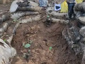 50 IEDs planted by Maoists defused in Jharkhand: Police - The Economic ...