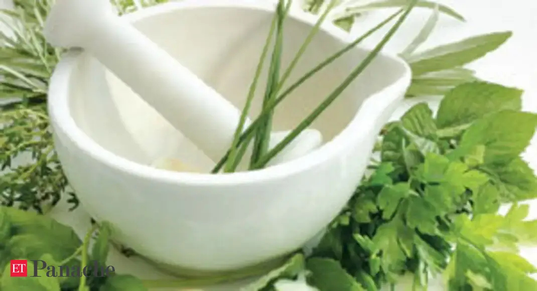 How to correctly use herbs in desi kitchens - The Economic Times