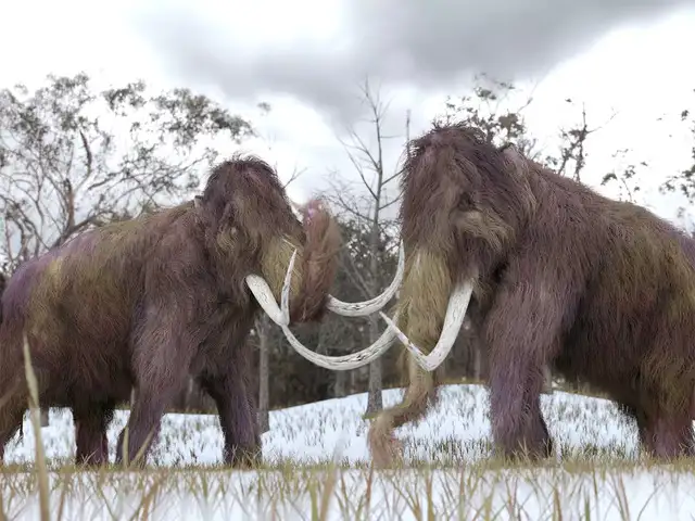 Bringing back the Woolly Mammoth: Can extinct species be resurrected ...