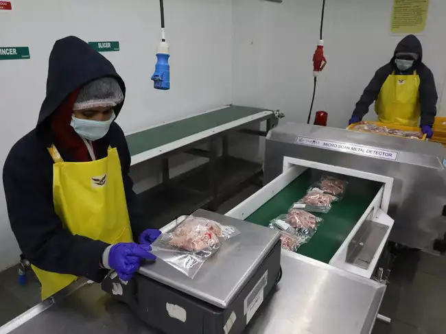 licious: How Licious was founded after a messy episode of soan papdi ...