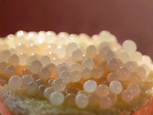 Rare white caviar will titillate the taste buds of rich and wealthy at ...