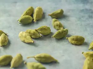 Spices Board to launch cloud-based live e-auction to empower cardamom ...