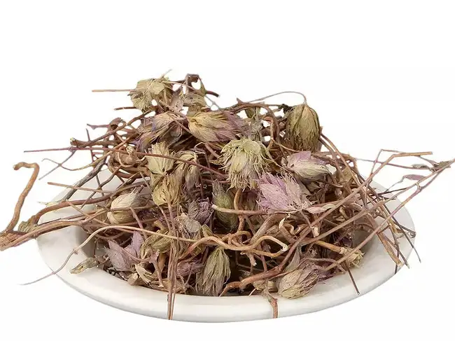 Magical herb 'Jufa' can do wonders for people who stay out for long ...