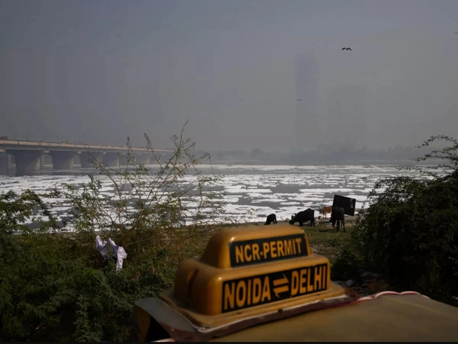 Delhi govt forms Yamuna Cell for cleaning of Yamuna river - The ...