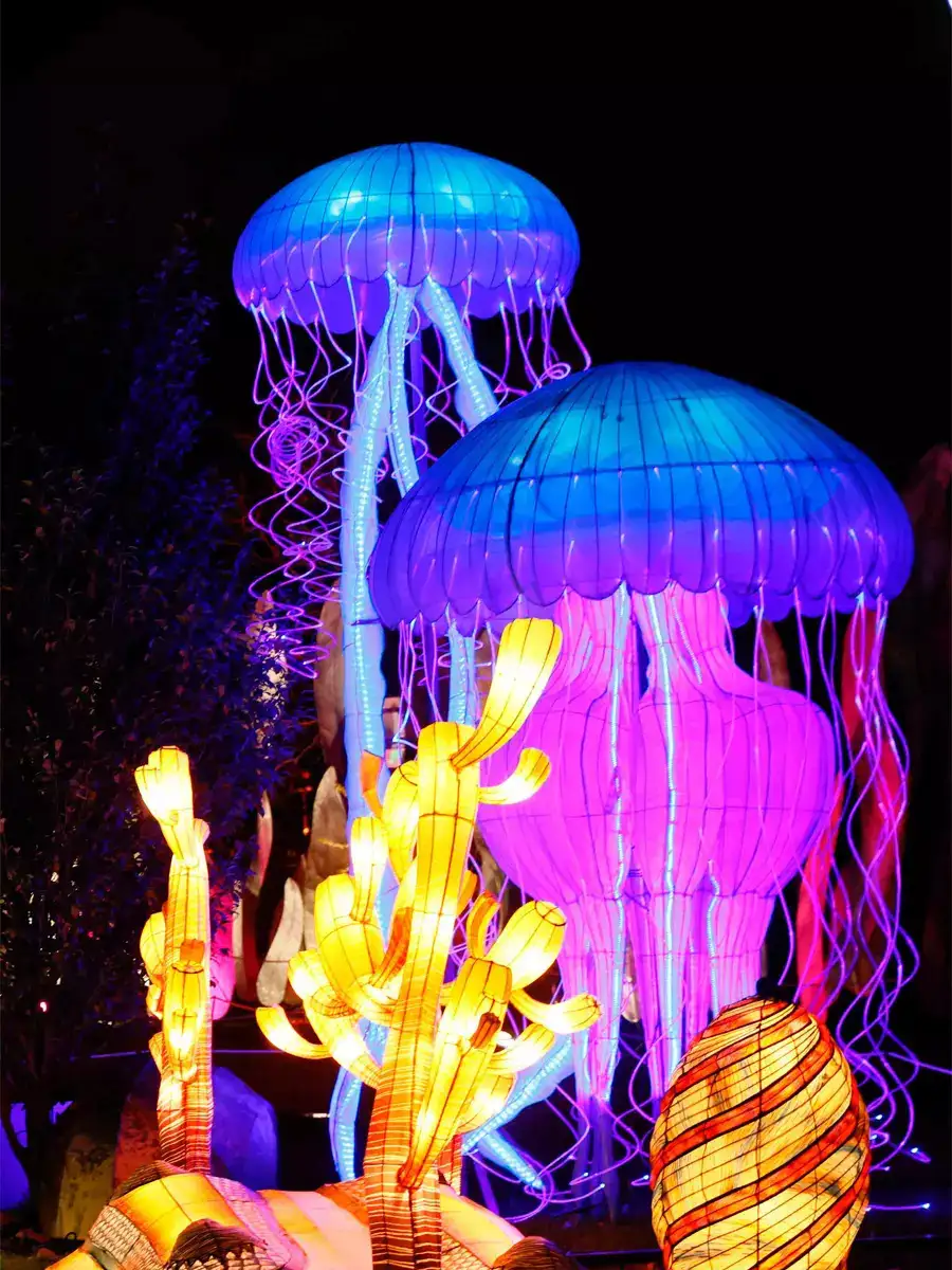 Paris Festival of Lights takes you to the past | EconomicTimes