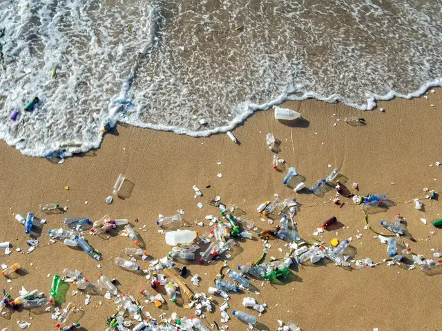 Did you know microplastics can cause cell death? - Microplastics can ...