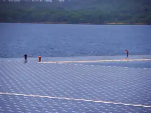 SJVN, DVC to harness 2000 MW floating solar energy projects - The ...