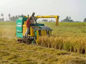paddy: Government's paddy procurement reaches 443.49 lakh tonnes in ...