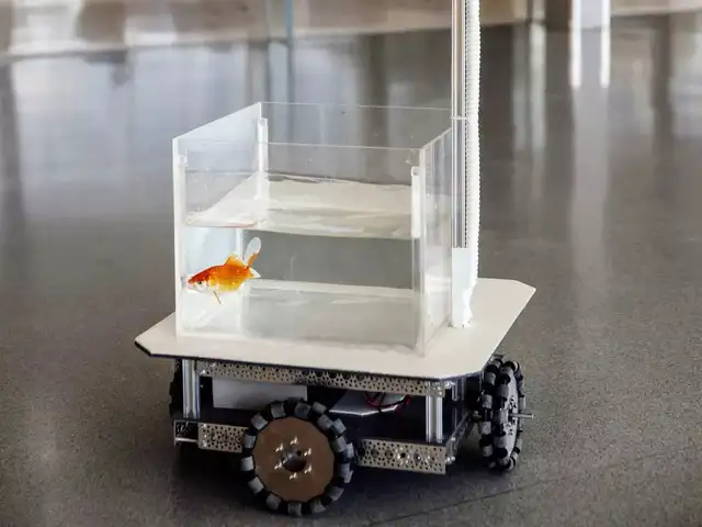 Robotic car - Like a fish out of water? Israeli team trains goldfish to ...